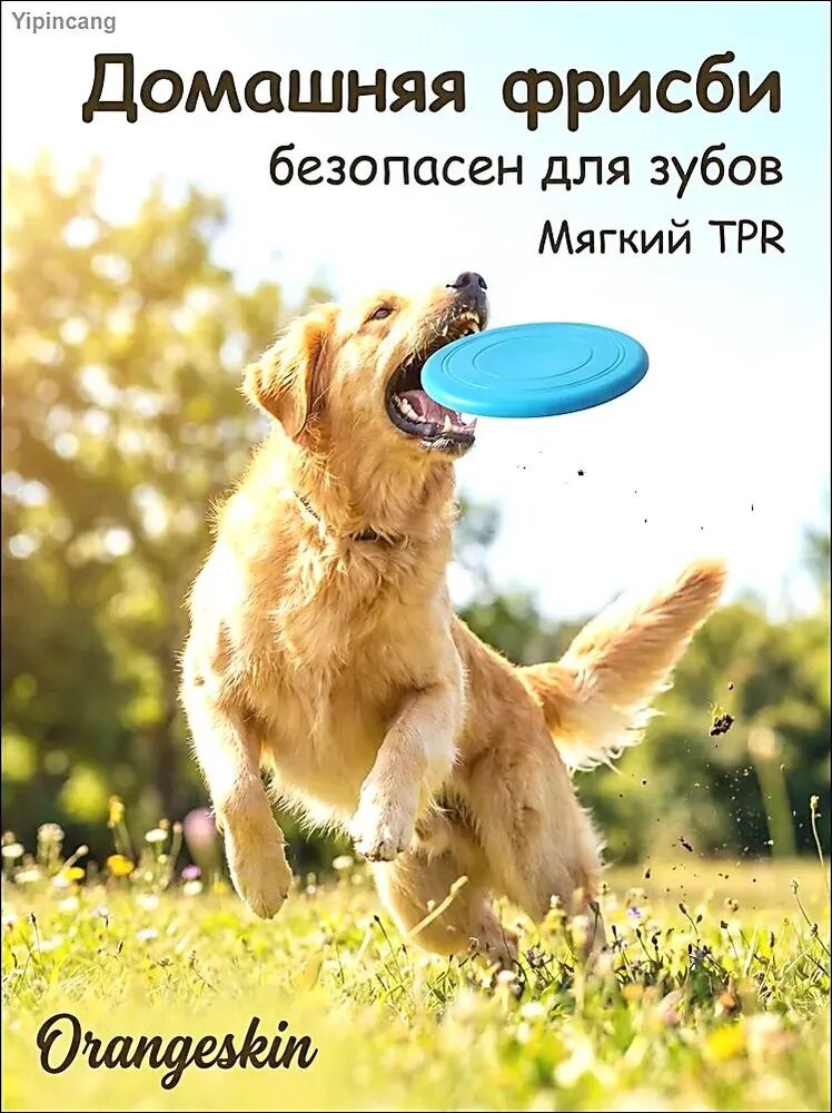 Фрисби