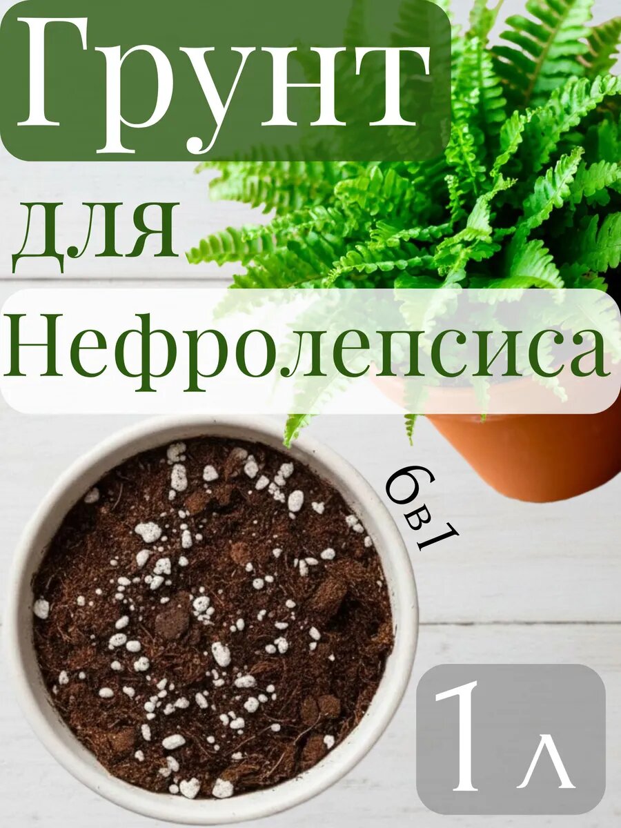Готовый грунт для Нефролепсиса 1 литр