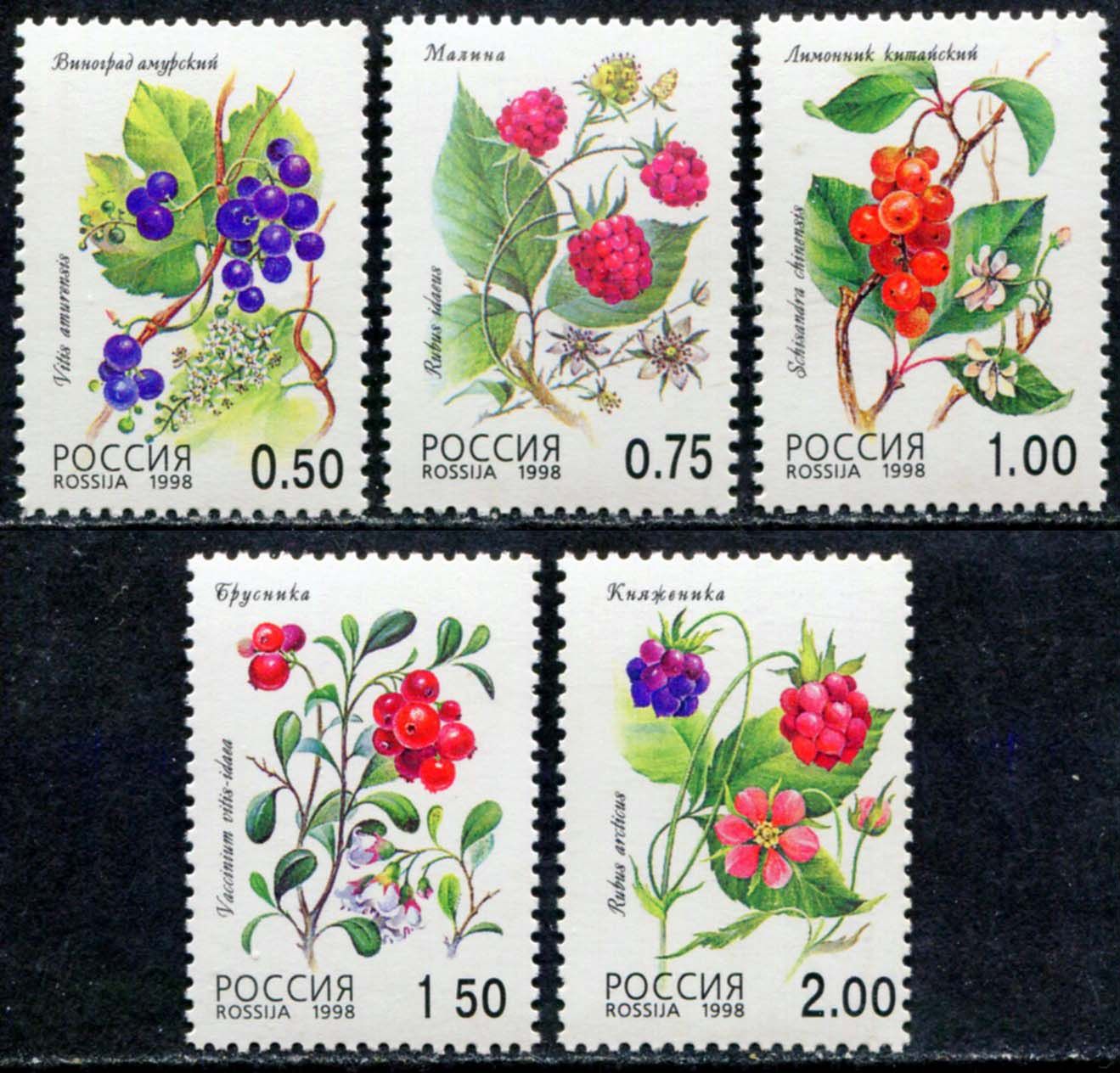 Россия-1998. Лесные ягоды. Серия из 5 марок. Негашеная