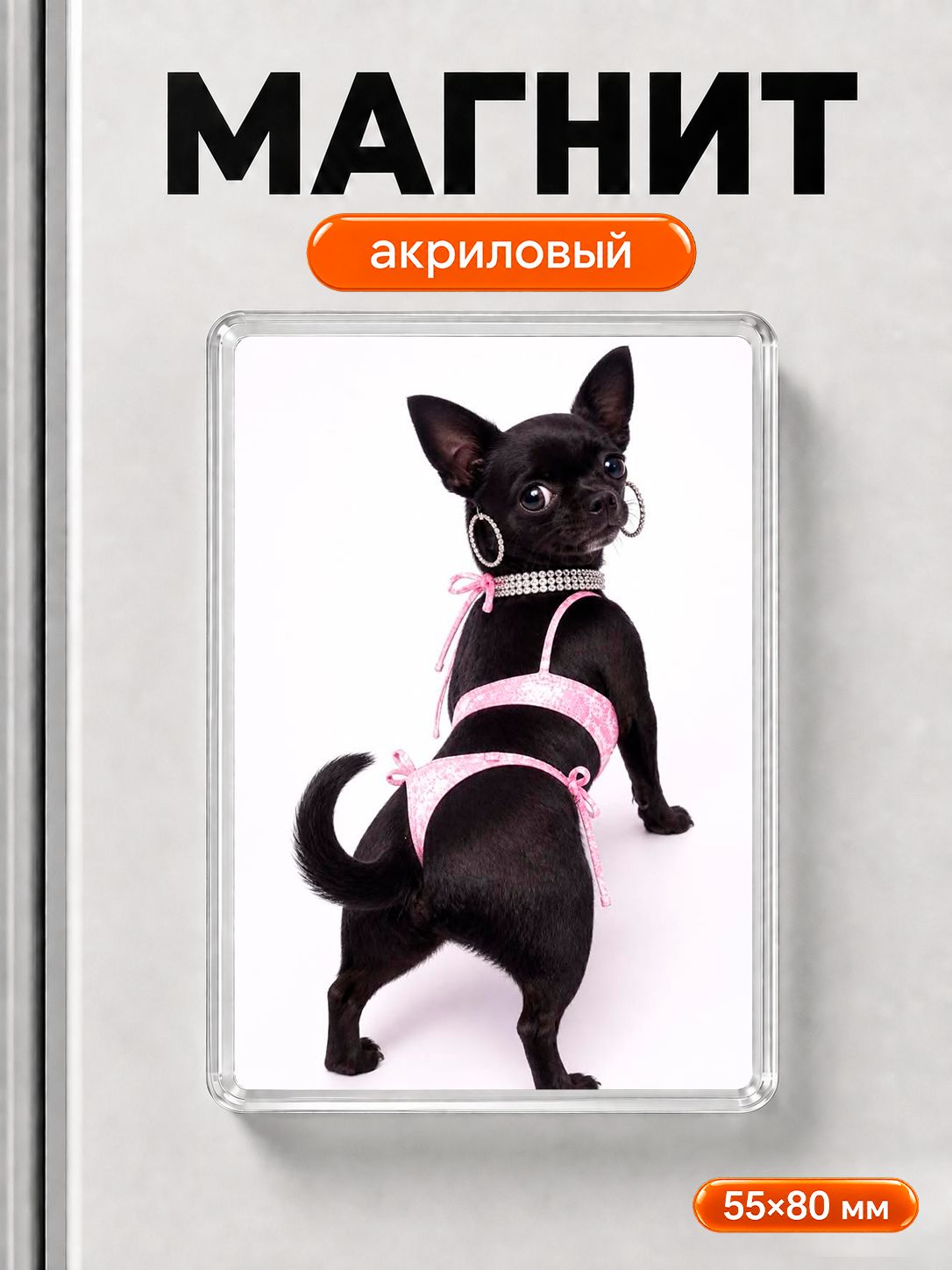 Магнит на холодильник "Собака чихуахуа", прикольный магнитик