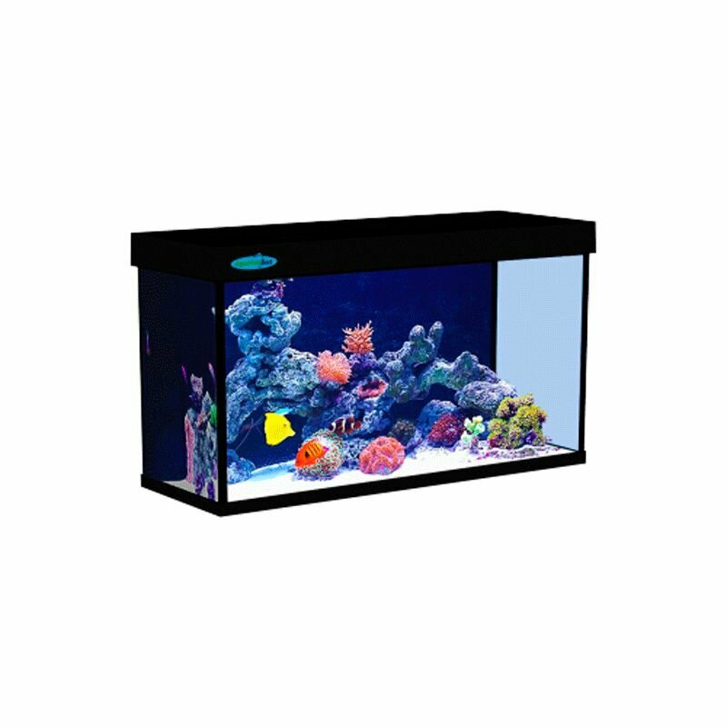 Аквариум 240 литров AquariumBest , с подсветкой, Черный (121х41х57 см)