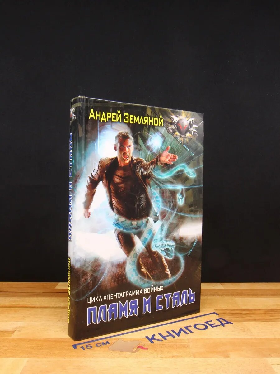 Книга. Пламя и сталь 2011 (2044505529244)