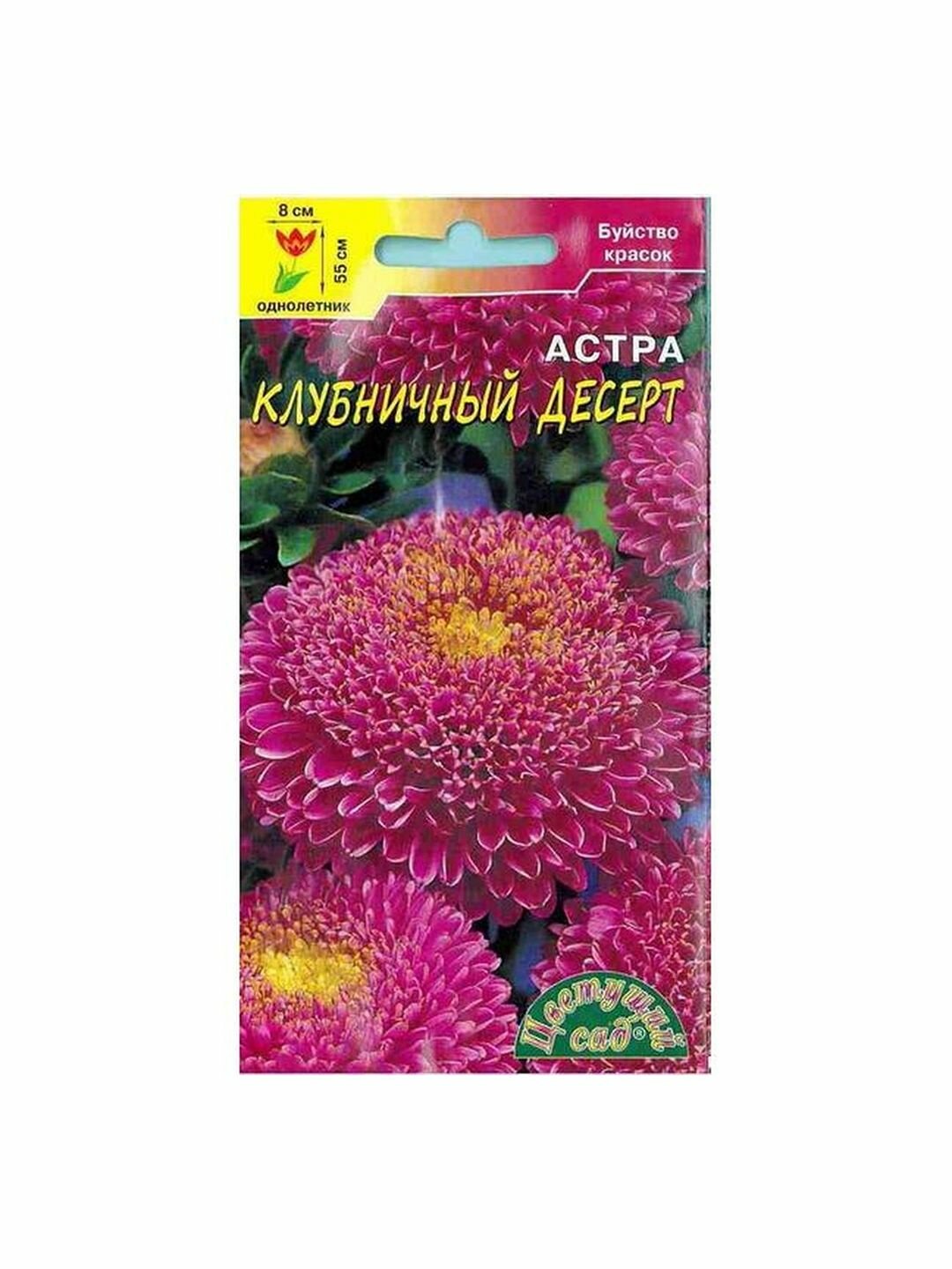 Семена Астра помпонная - Десерт Клубничный, однолетник, Цветущий Сад, 1 пачка - 0.2г семян