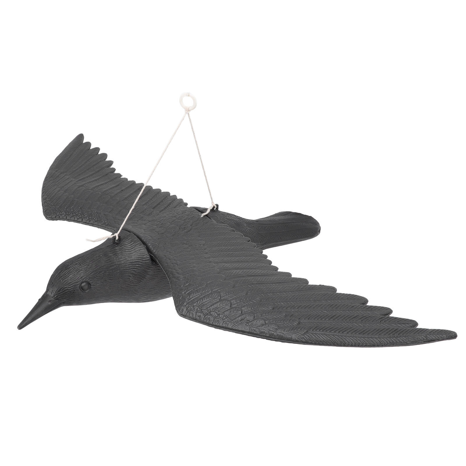 Симуляция ворона