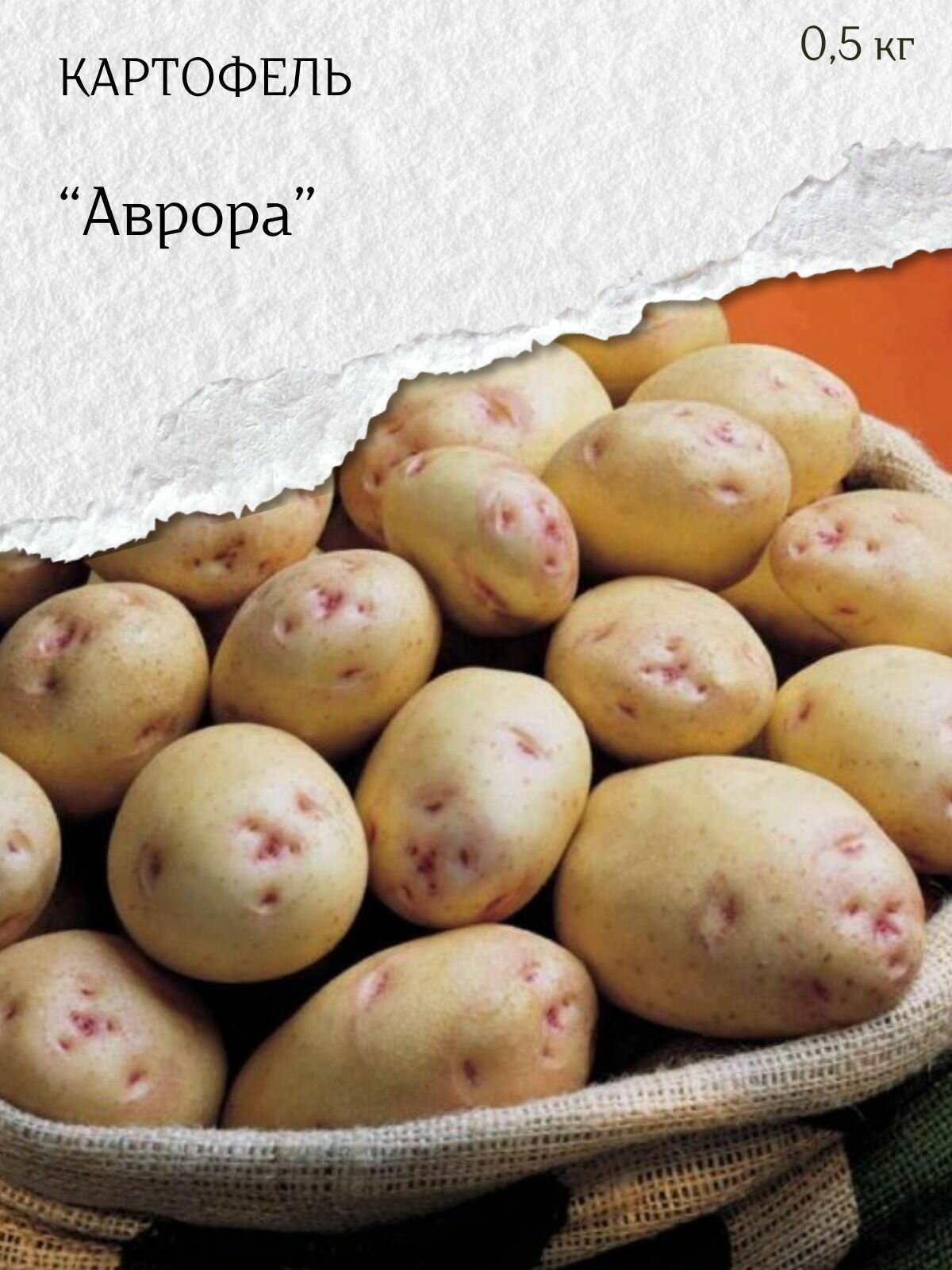 Картофель семенной красный Аврора клубни на посадку 500 гр.