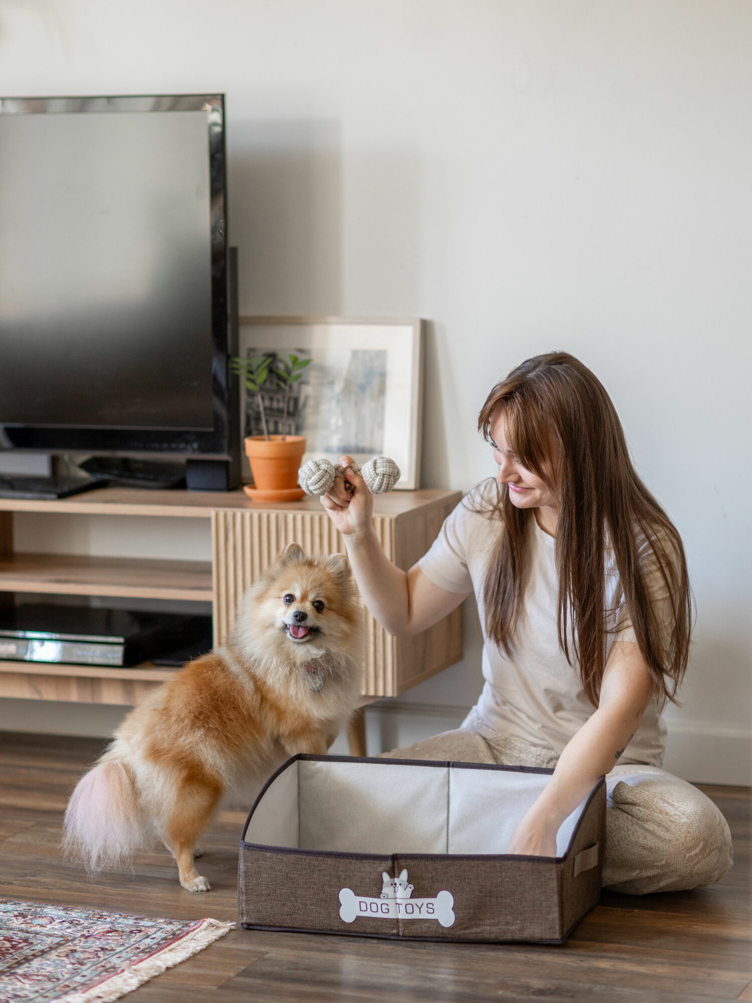 Корзина для игрушек собак и кошек