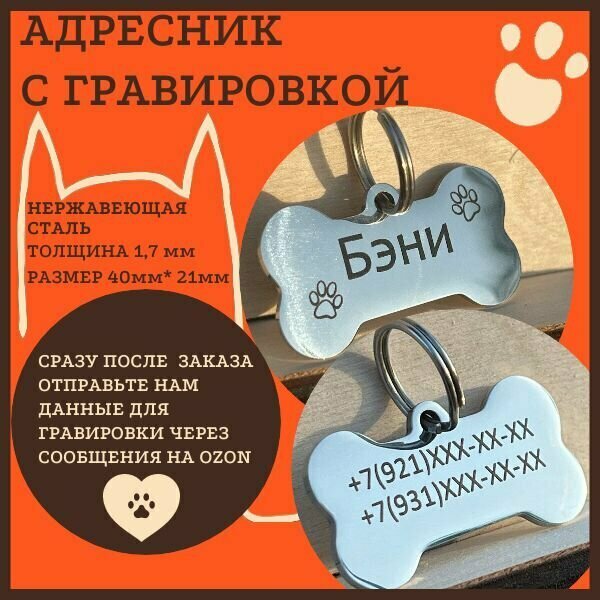 Адресник косточка с гравировкой из нержавеющей стали
