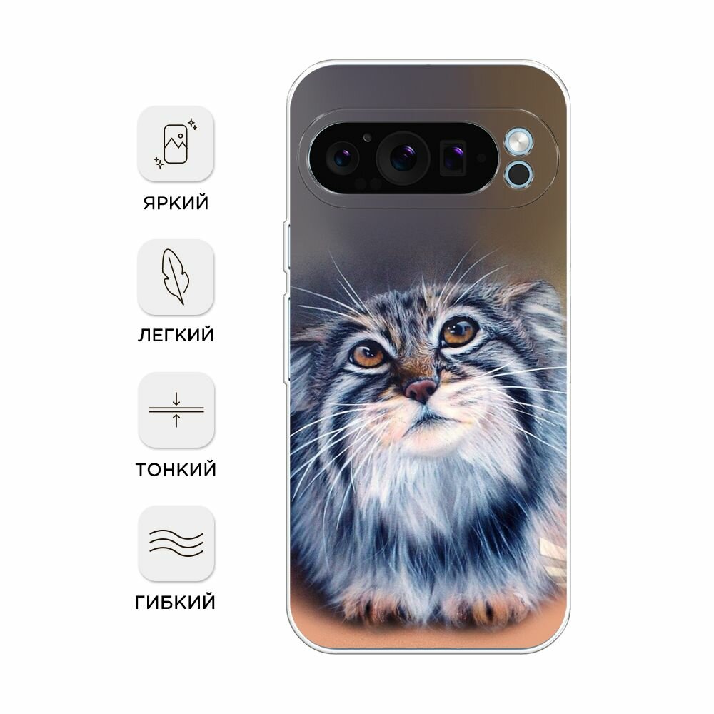 Чехол на Google Pixel 9 / Гугл Пиксель 9 с принтом "Кот манул 2" — фото 1