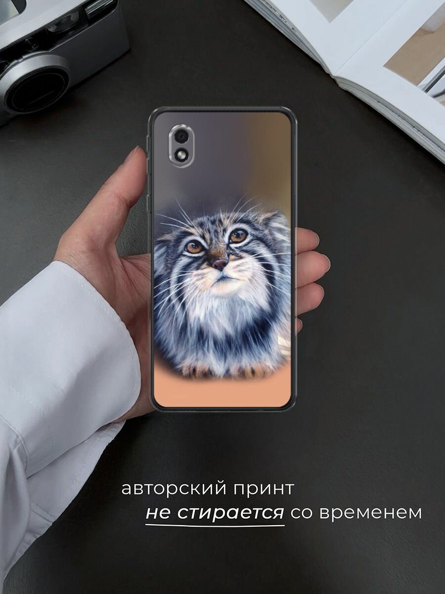 Чехол на Samsung Galaxy A01 Core / Самсунг Галакси А01 Core с принтом "Кот манул 2" — фото 1