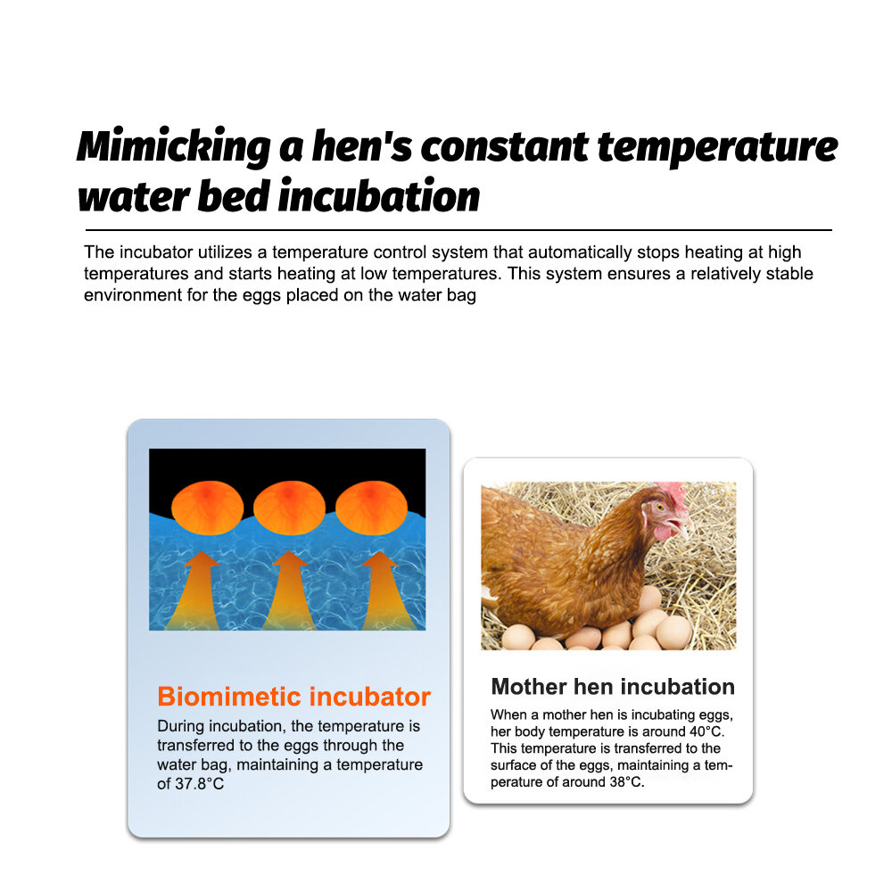 Инкубаторы для инкубационных яиц. Деревянный инкубатор на 9 яиц с контролем температуры. Инкубаторы для куриных яиц для уток, гусей, перепелов, птиц для школы, дома, фермы, детей.