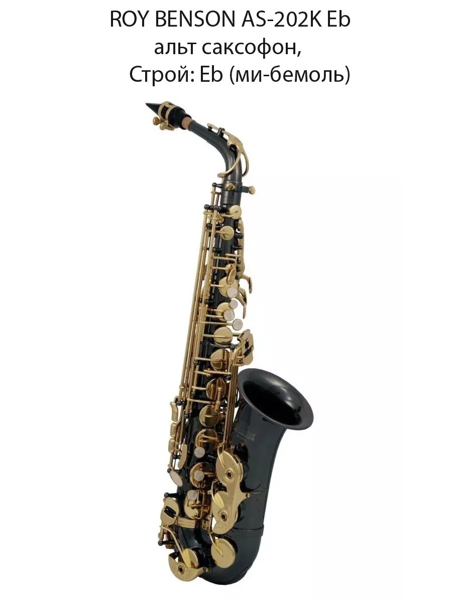 Roy Benson As-202k Eb - альт саксофон