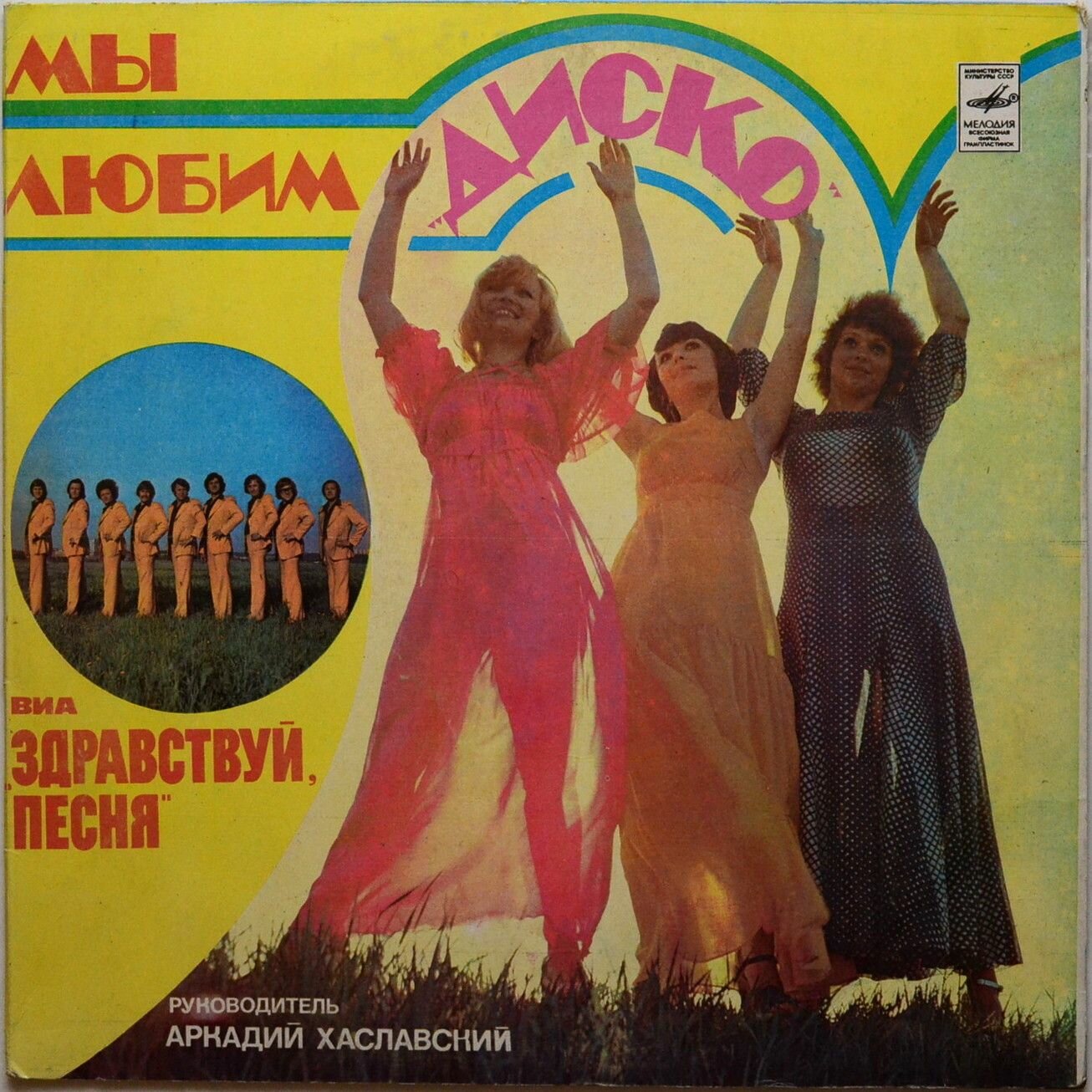 Виниловая пластинка ВИА Здравствуй песня - Мы любим диско