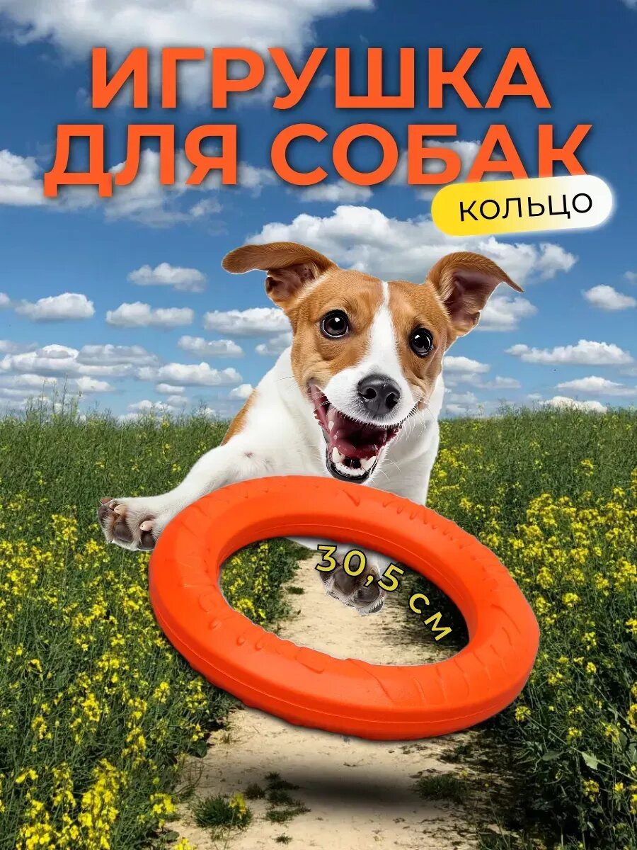 Игрушка пуллер резиновая для собаки Кольцо большое 30,5 см