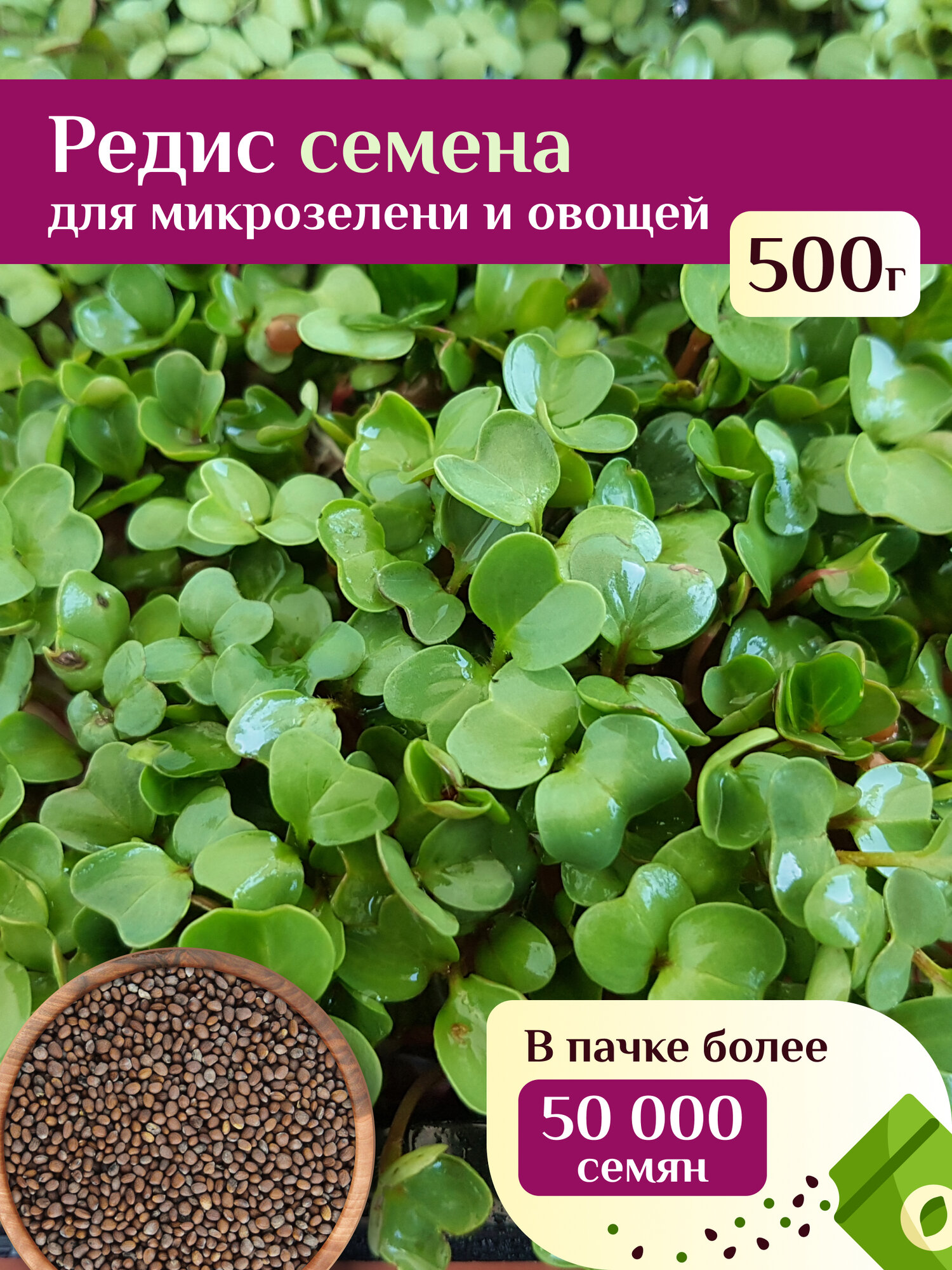 Редис семена для микрозелени и овощей, Ильинские проростки 500г