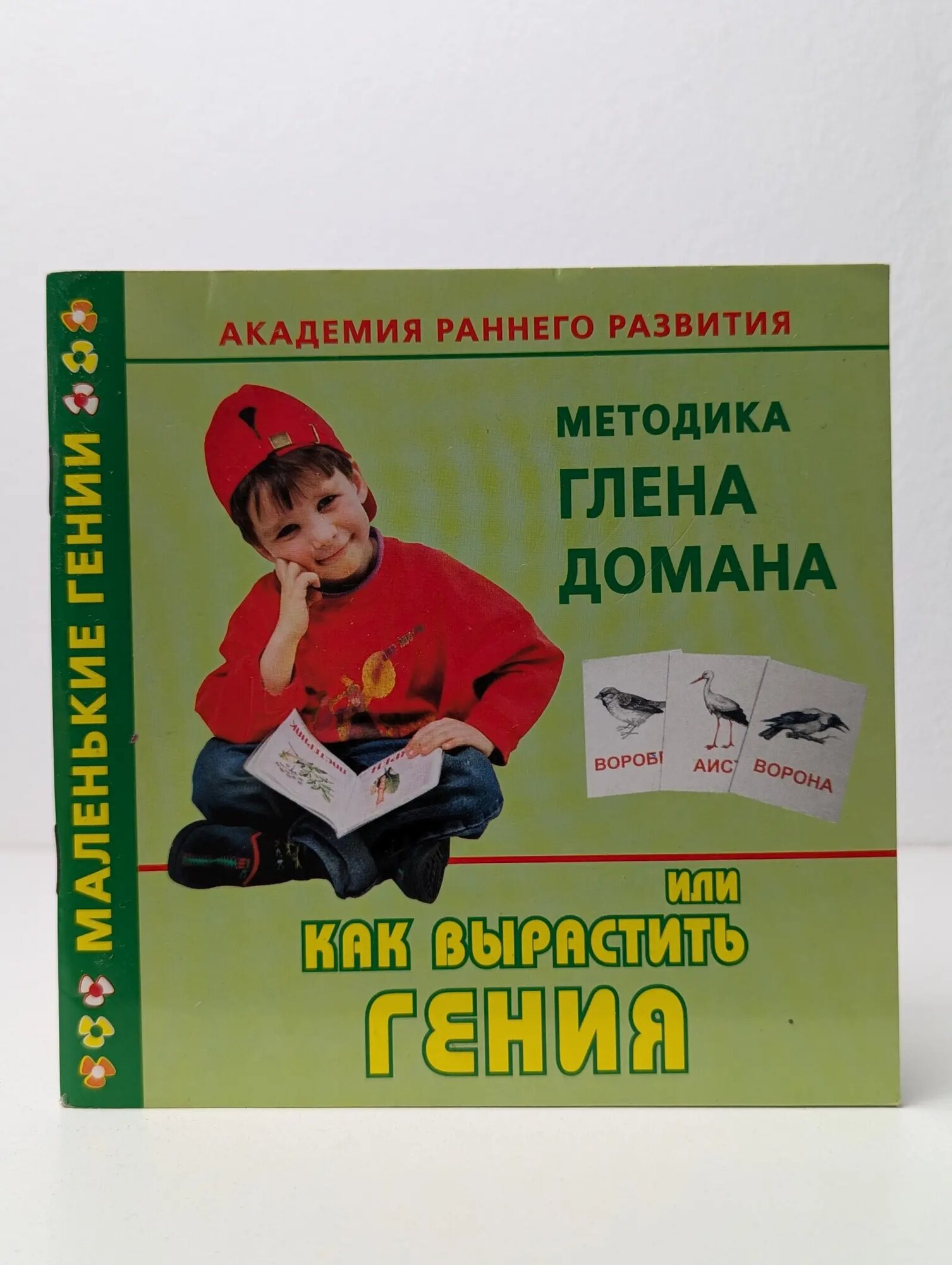 Академия раннего развития Дмитриева Виктория Геннадьевна 2006