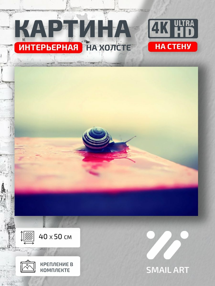 Картина на холсте интерьерная 40 на 50 на стену Улитка Mood для офиса атмосфера интерьер