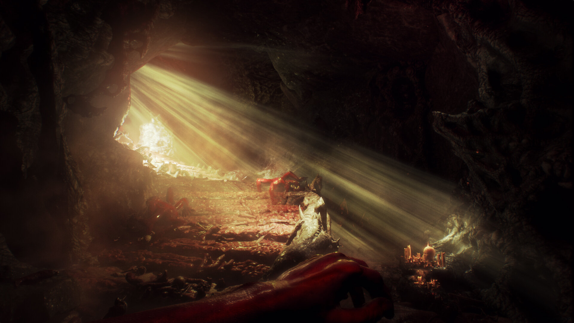 Agony, Все страны — фото 1