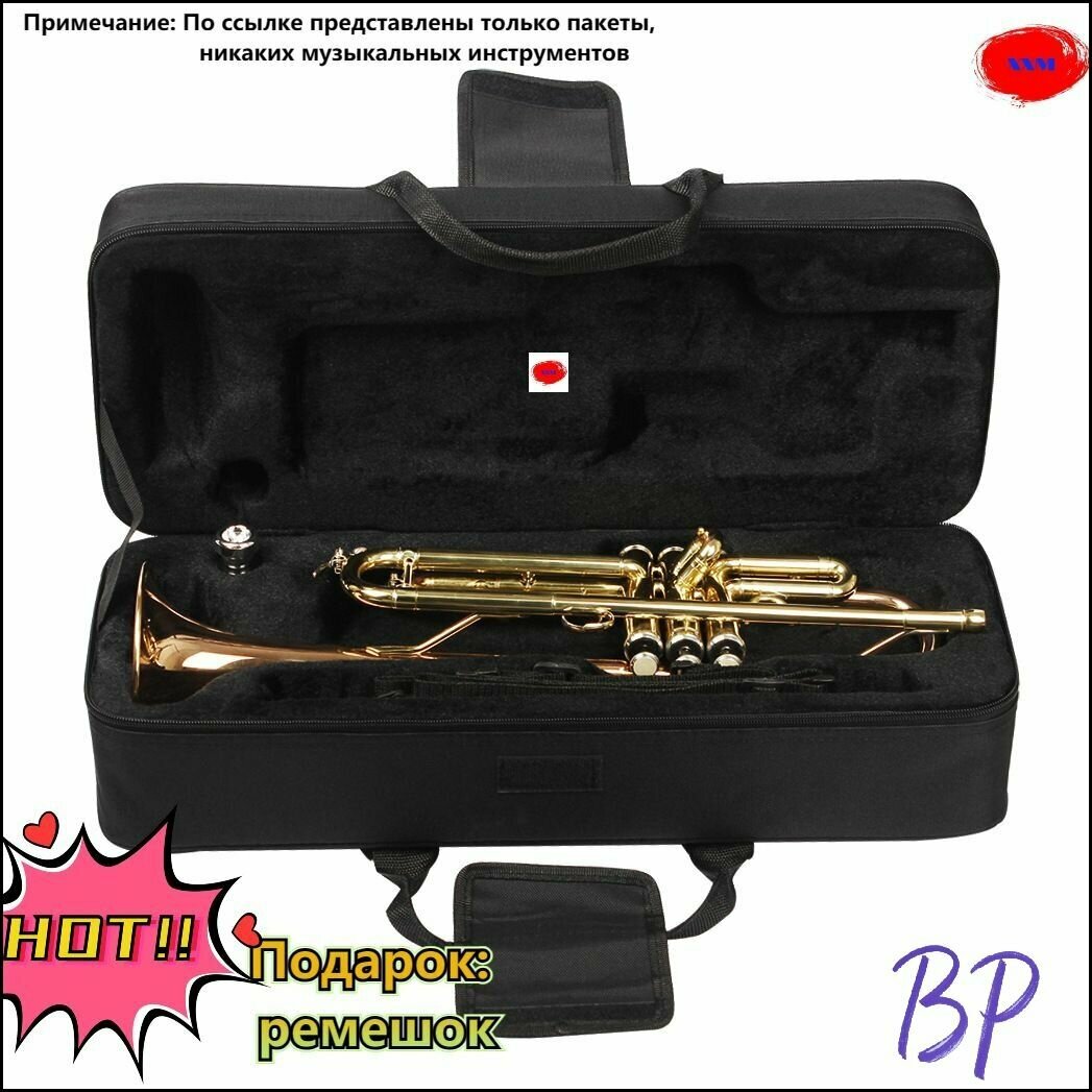 Чехол для музыкального инструмента