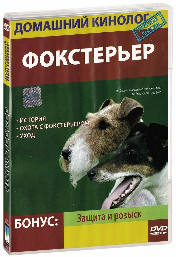 Фокстерьер (DVD-R) (ДВД диск, DVD Box, Россия, Кеннел Видео Клуб)