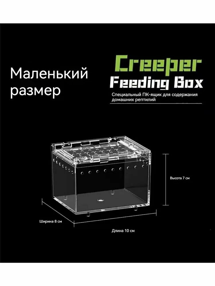 Террариум