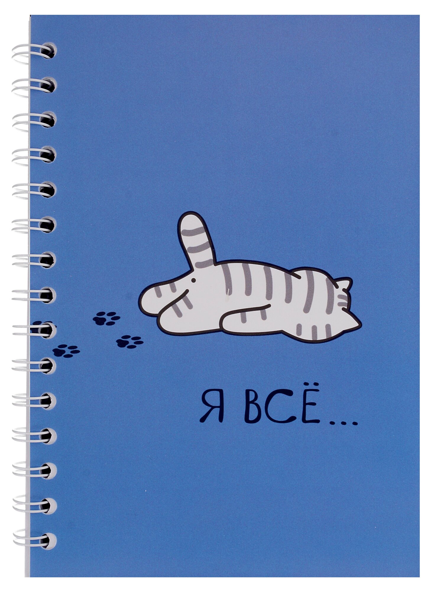 Тетрадь общая «Я всё (Котик)», 80 листов в клетку, А5