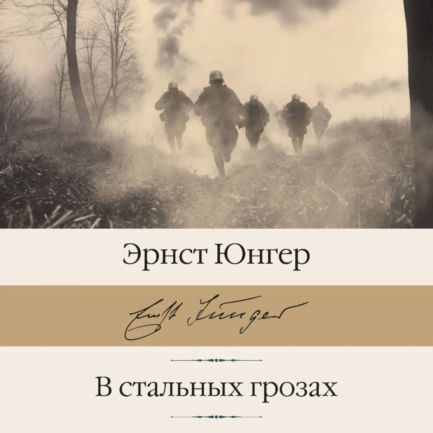 В стальных грозах [Аудиокнига]