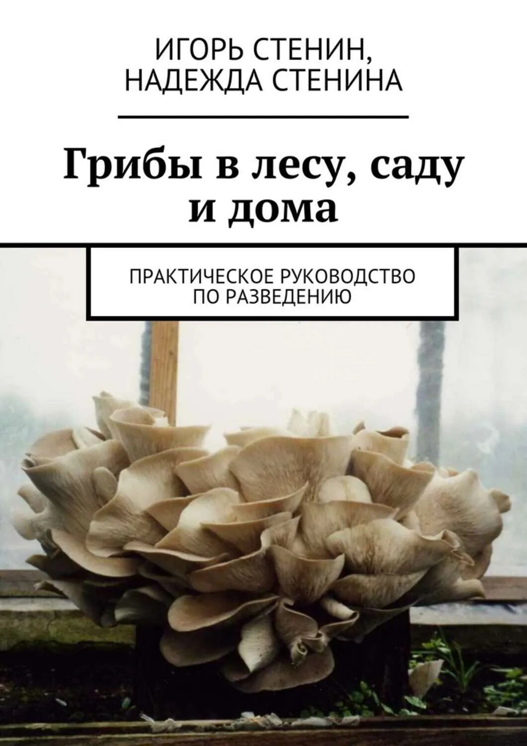 Грибы в лесу, саду и дома [Цифровая книга]