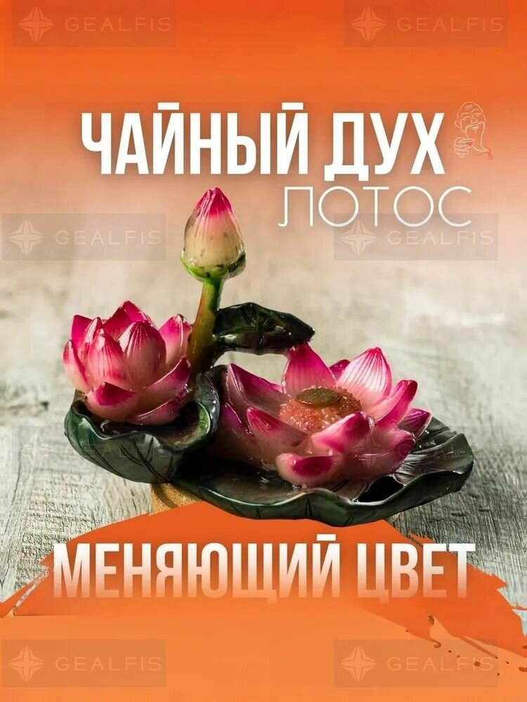 Чашка