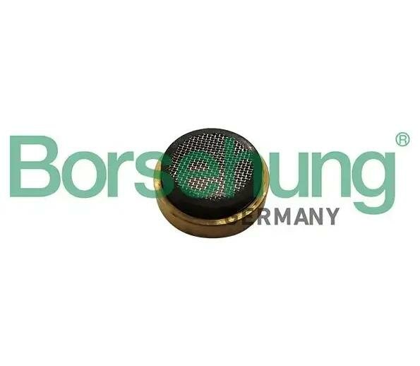 Сетка масляного насоса Borsehung B11897 универсальный AUDI/VW/SKODA/SEAT