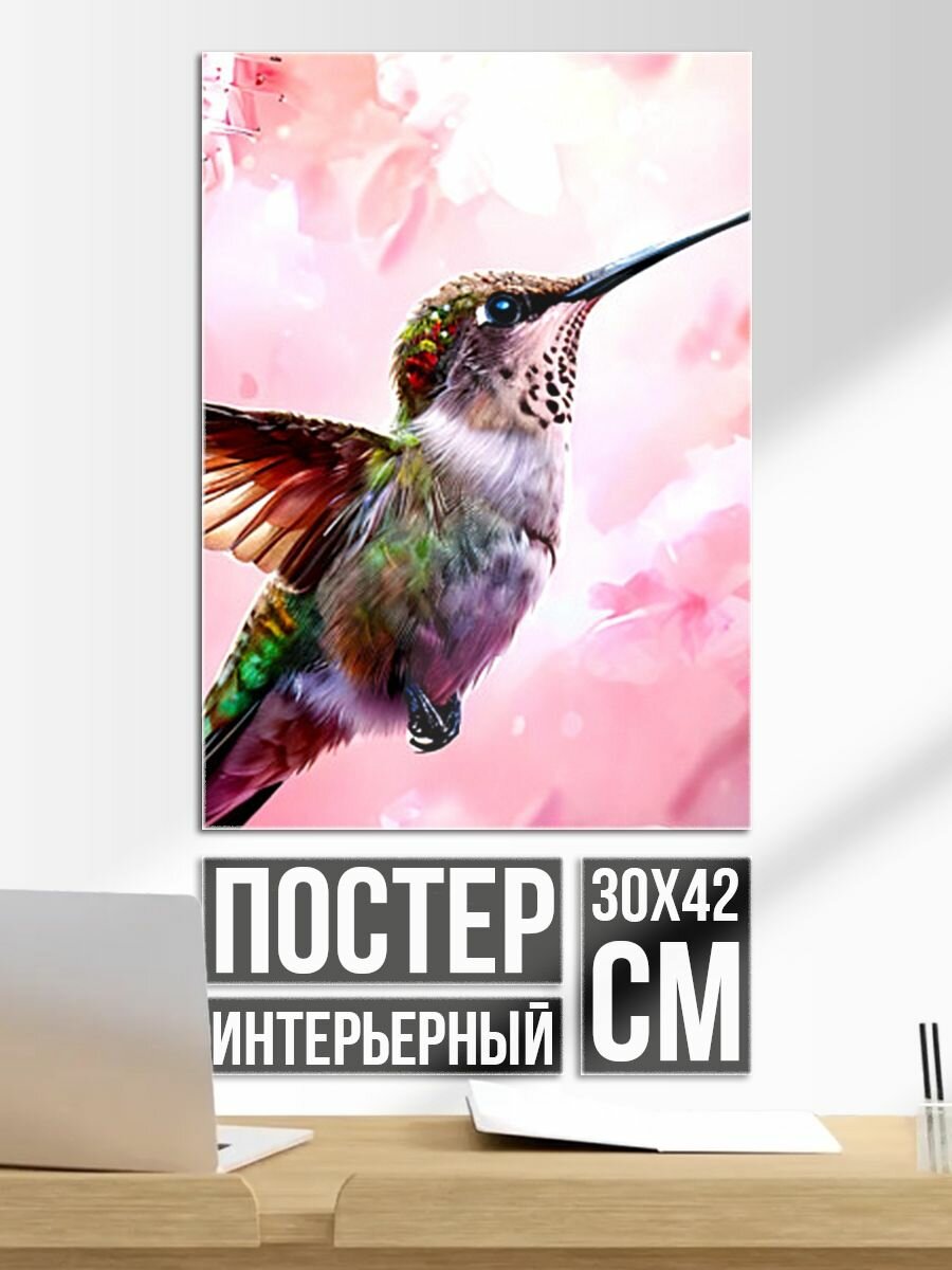 Постер на стену Колибри на розовом