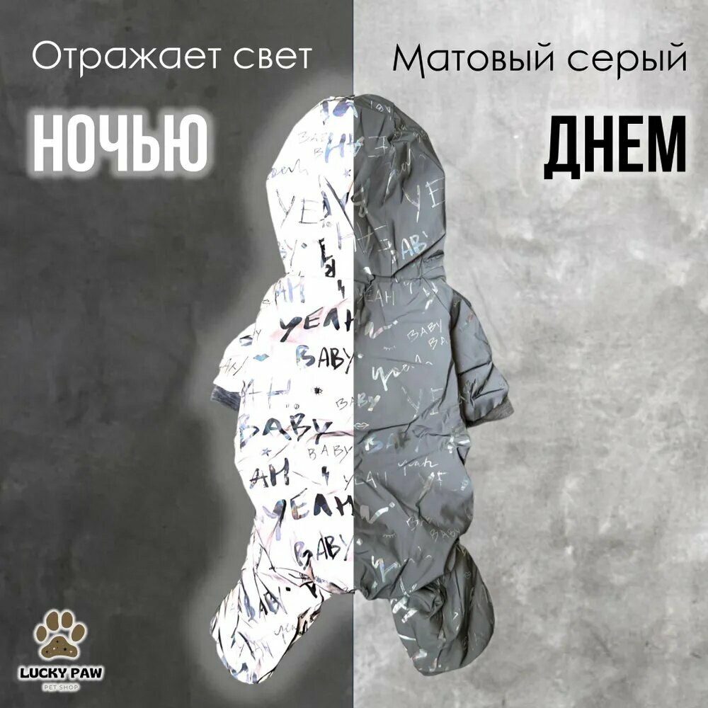 Демисезонный комбинезон светоотражающий для щенков и собак малых (мелких, карликовых) пород
