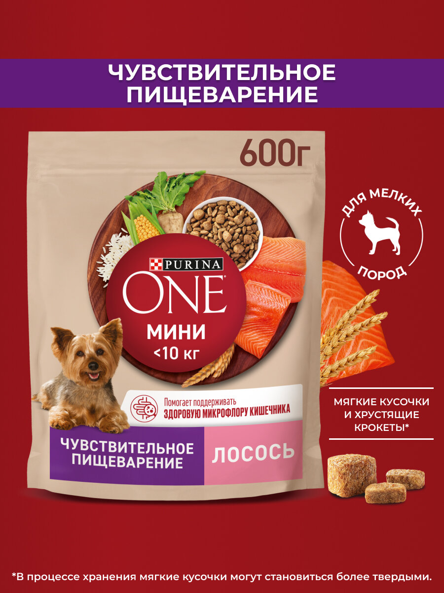 Сухой корм Purina ONE® мини для собак мелких пород для чувствительного пищеварения с лососем и рисом, 600 г