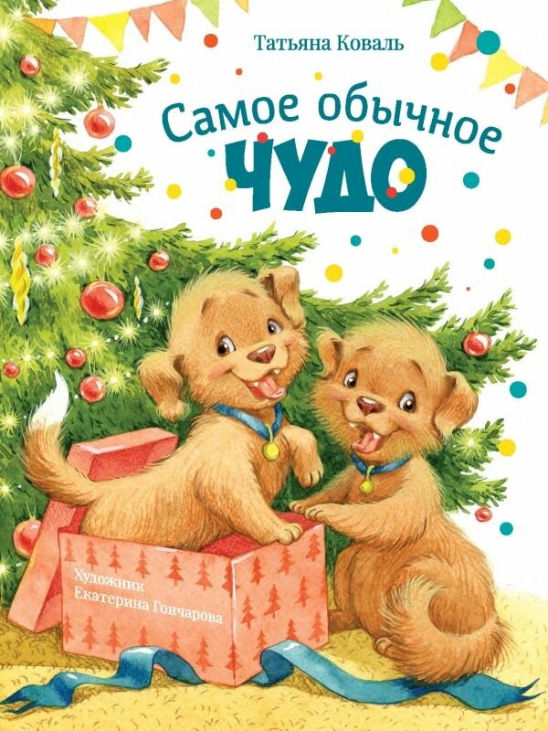 Самое обычное чудо изд. Стрекоза