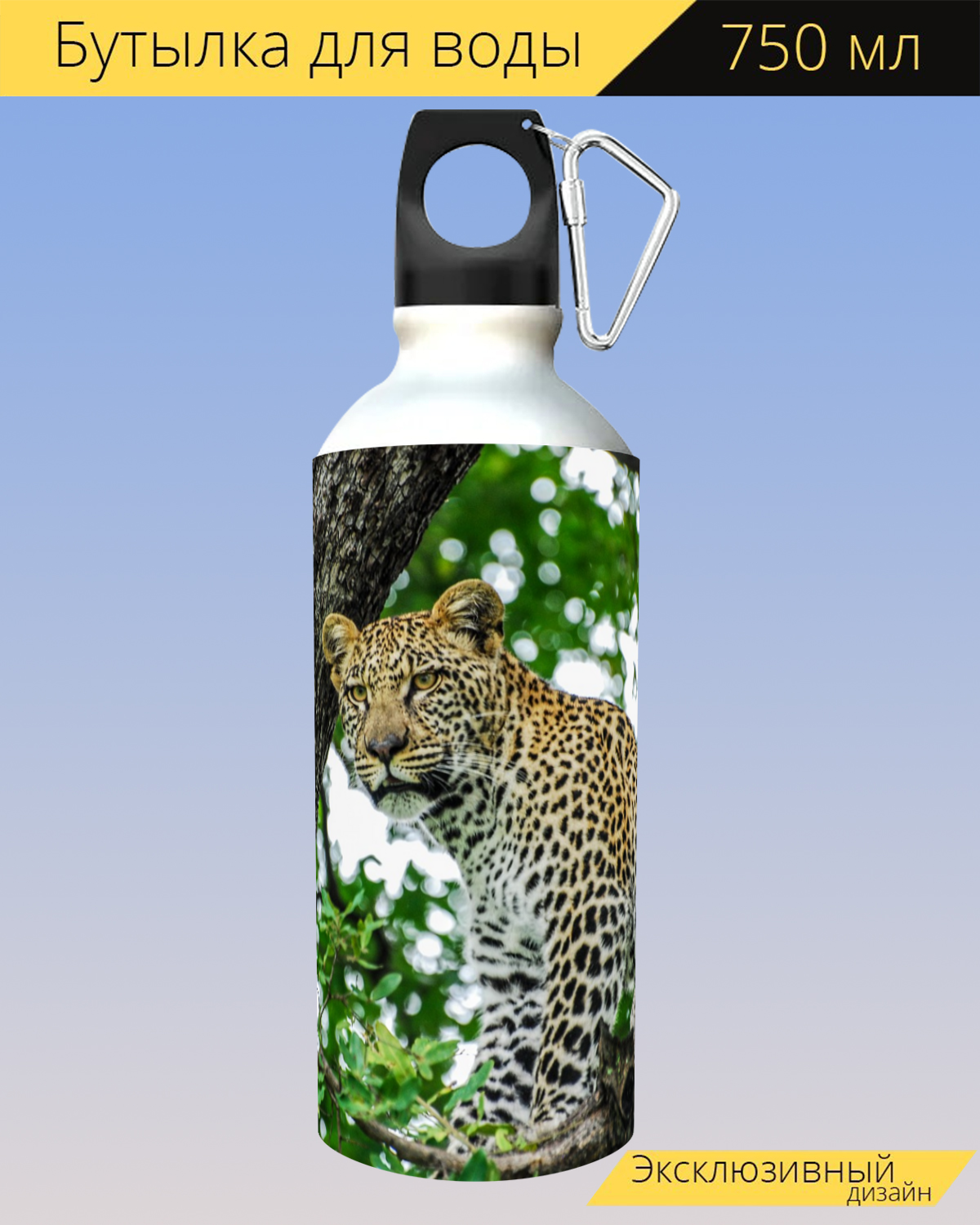 Бутылка фляга для воды "Леопард, большие кошки, кошка" 750 мл. с карабином и принтом