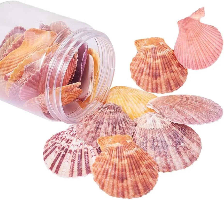 25 Шт, Спиральные Бусины Из Морских Ракушек Без Сверления, Разноцветные Для Изготовления Ювелирных Изделий