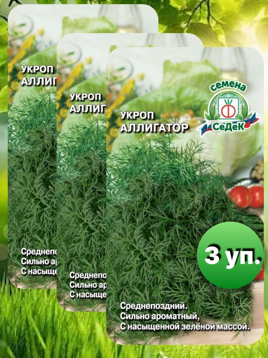 Семена "СеДек" укроп (3 уп.) Аллигатор, среднепоздний
