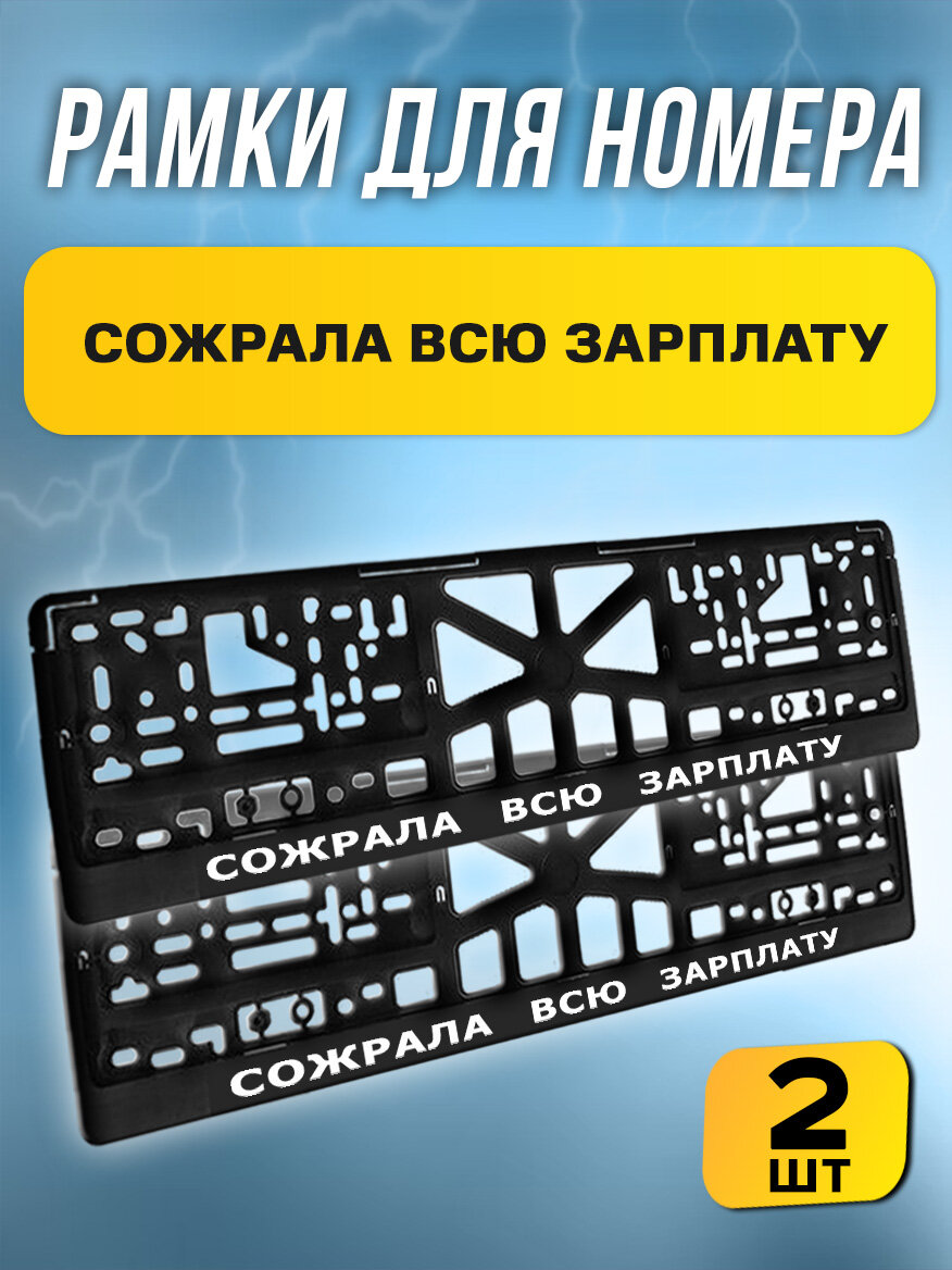 Рамки номерные "Сожрала всю зарплату" комплект 2 штуки / Автомобильные номерные рамки для номеров с надписью