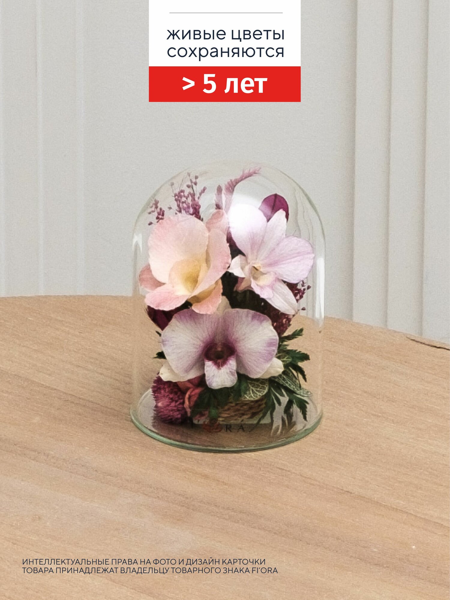 Композиция из живых цветов в герметичной вазе 10.8 см, сохраняется от 5 лет, серия Premium Dome