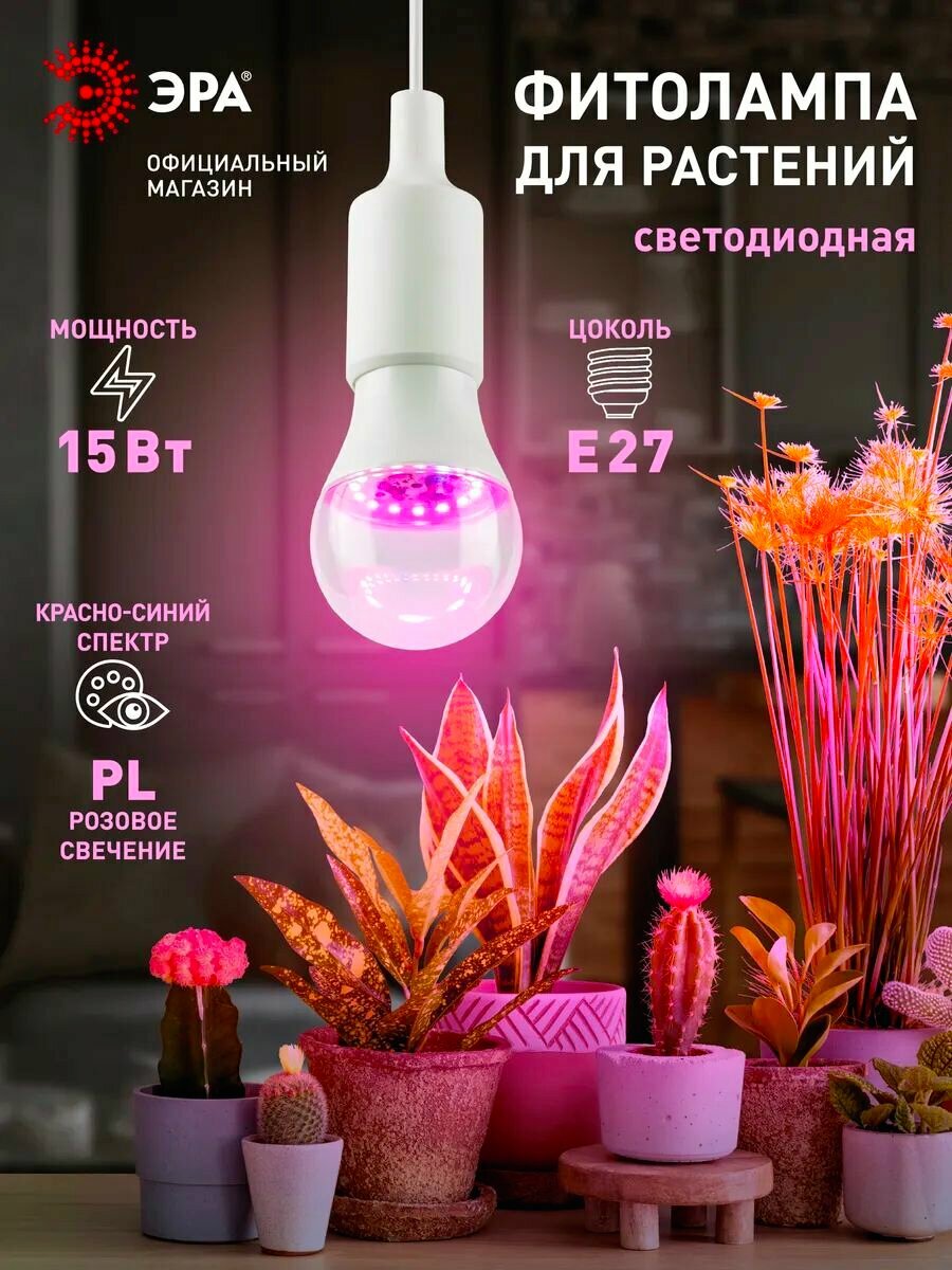 Фитолампа для растений светодиодная ЭРА GREEN LINE фито A60-15W-PL-E27-GR красно-синего спектра 15 Вт Е27