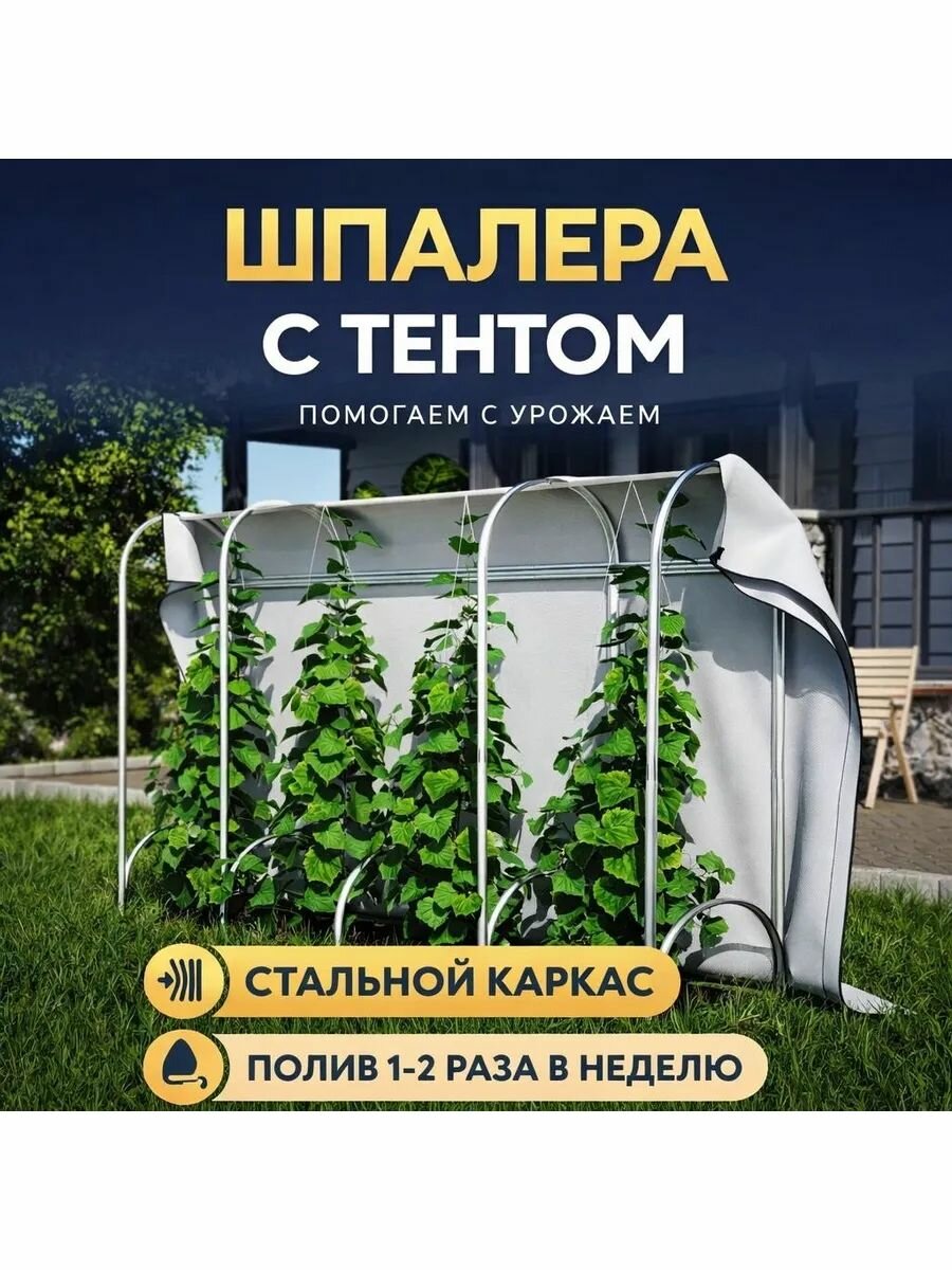 Чудо Шпалера садовая с тентом
