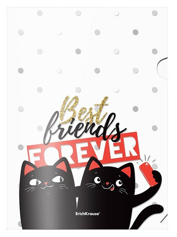 Папка-уголок А4 ErichKrause "Feline Friends" (54890)