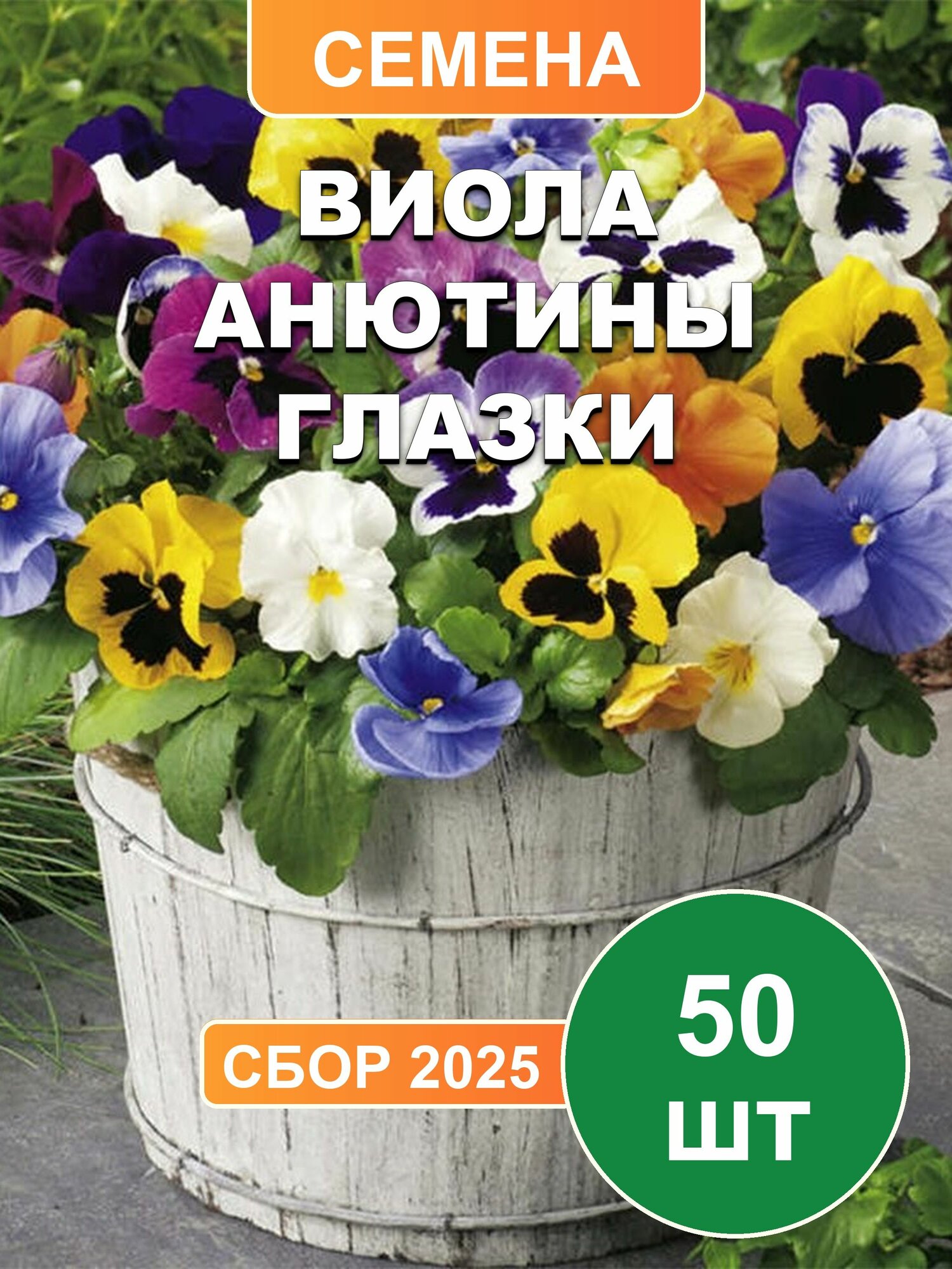 Фиалка Виттрока , семена, 50шт