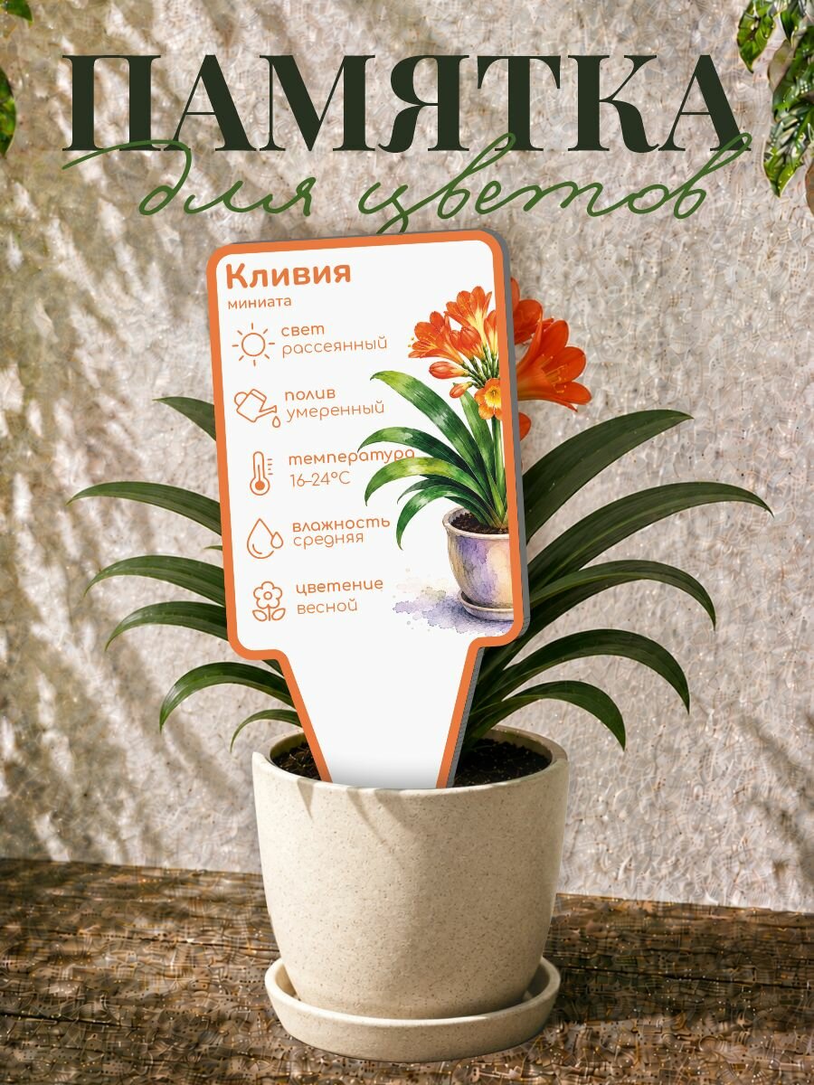 Фигурки для сада Кливия