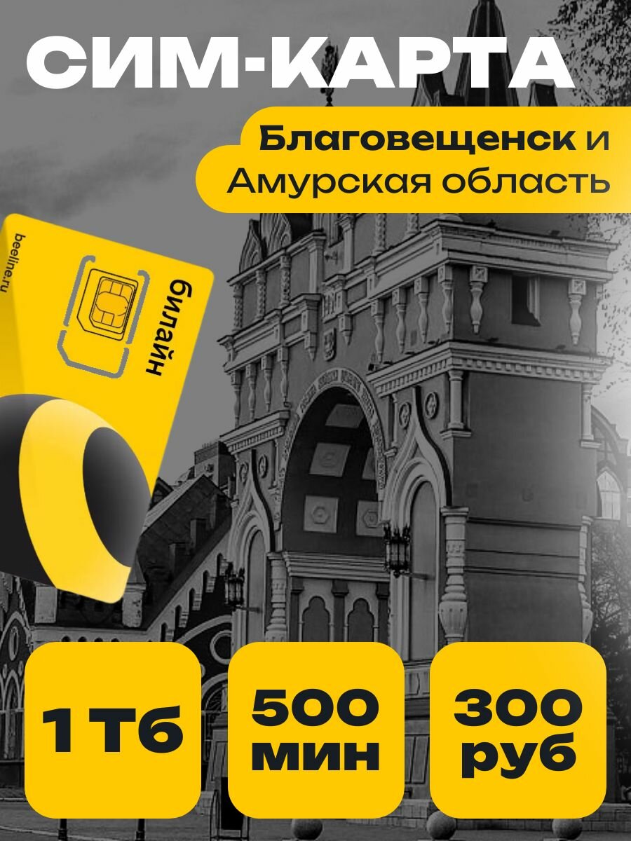 Сим-карта Билайн тариф Эксклюзивный Амурская область 1000 Гб + 500 минут за 300 руб.