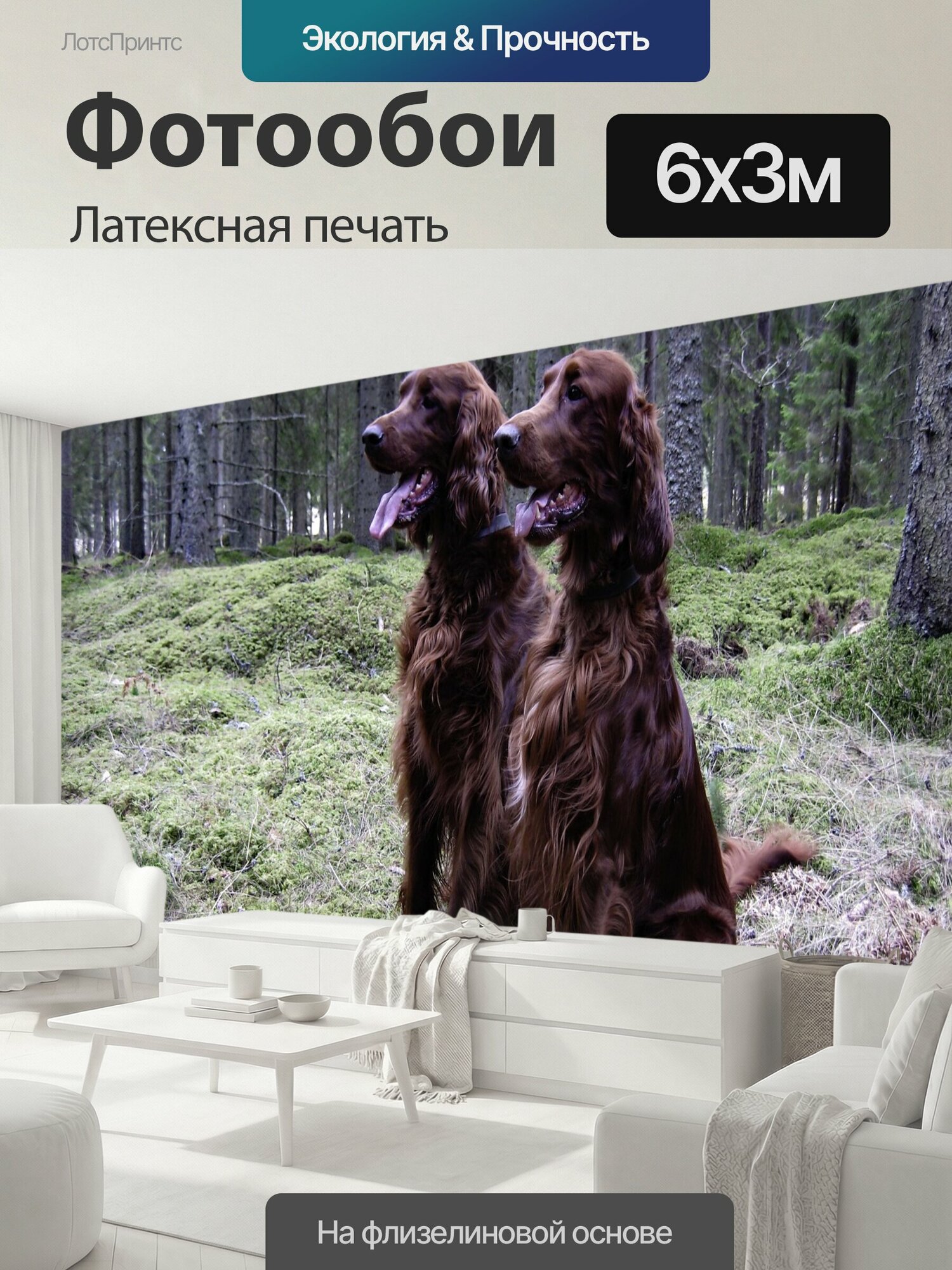 Фотообои моющиеся ударопрочные "Собака, ирландский сеттер, красный" 600x300 см. латексная печать