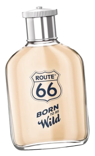 Route 66 Born To Be Wild мужской одеколон 100 мл - Рут 66 Борн Ту Би Вайлд туалетная вода