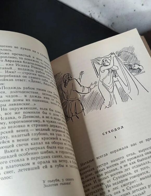 Антоновские яблоки — фото 1