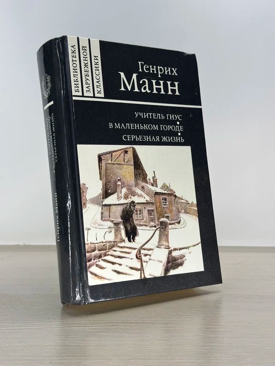 Учитель Гнус. В маленьком городе. Серьезная жизнь