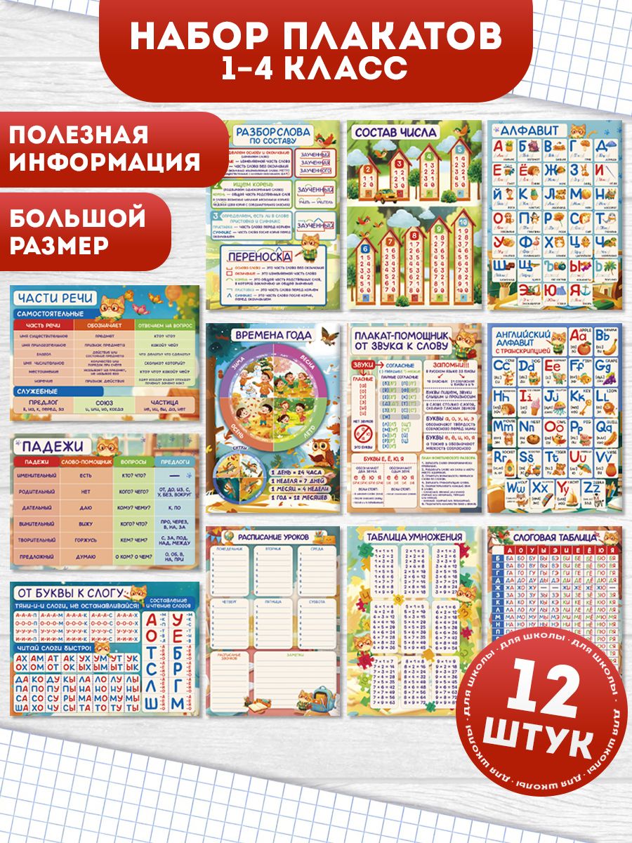 Набор обучающих учебных плакатов А4 12 шт