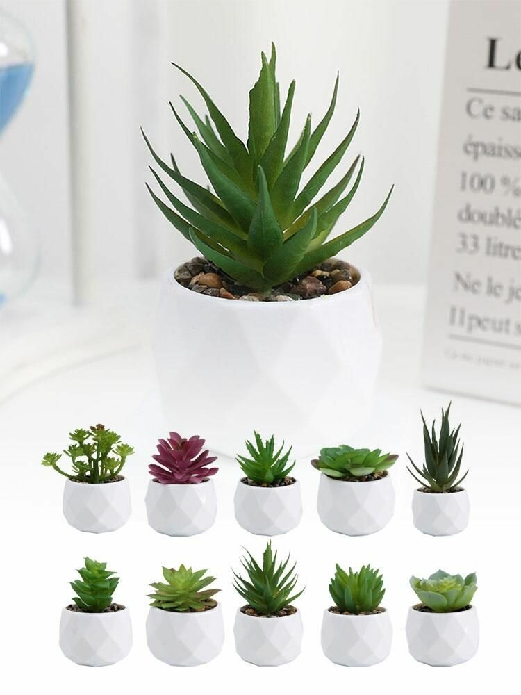 Декоративный кактус суккулент, Искусственные суккулентные растения в горшках, Украшение дома